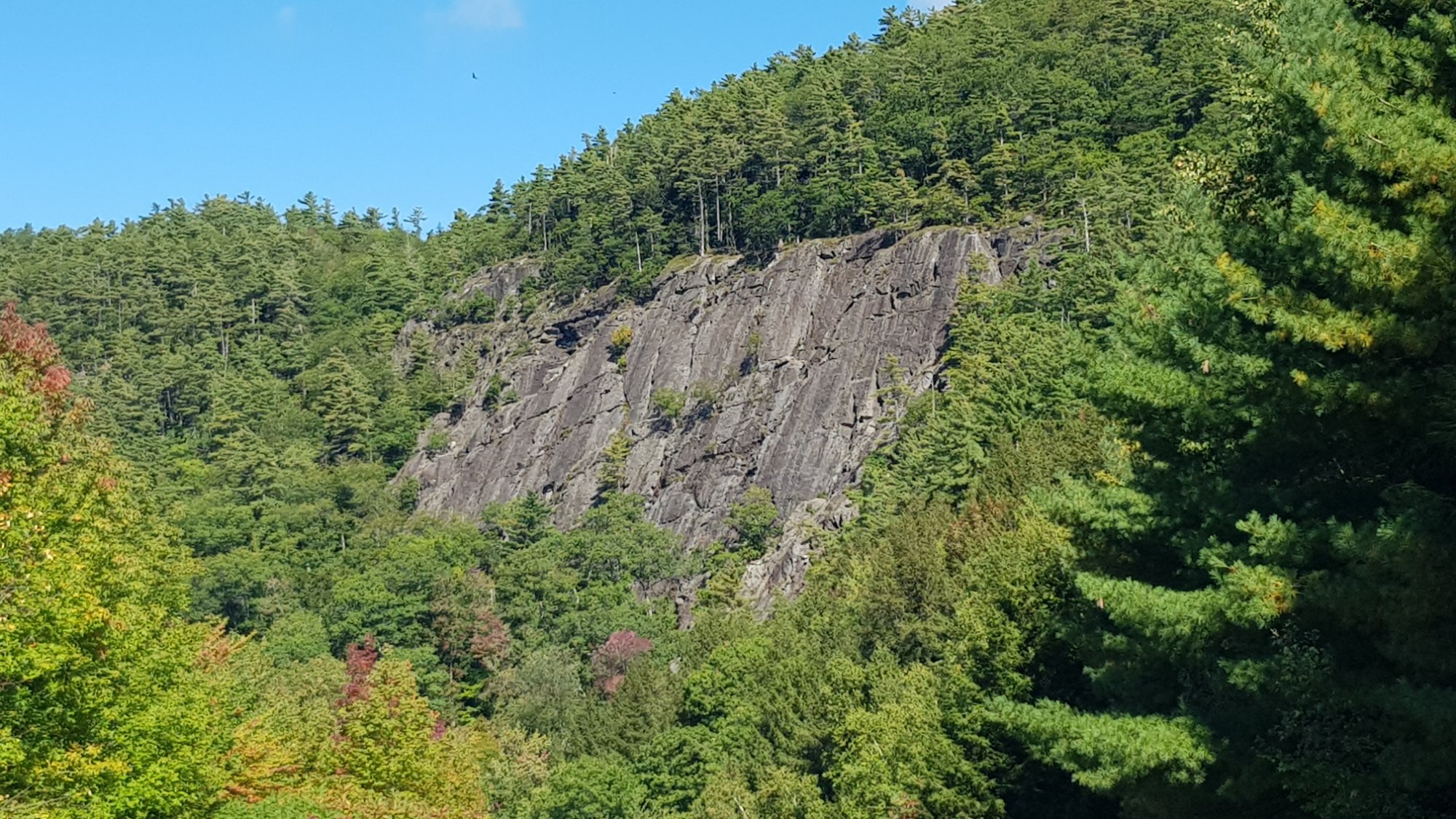 Barrett’s Cove Cliff, Camden Hills | RockAroundTheWorld